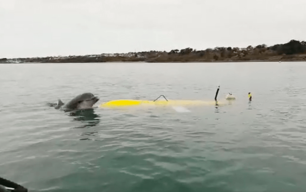 Latest Autosub Long Range Completes Sea Trials | Ocean News & Technology