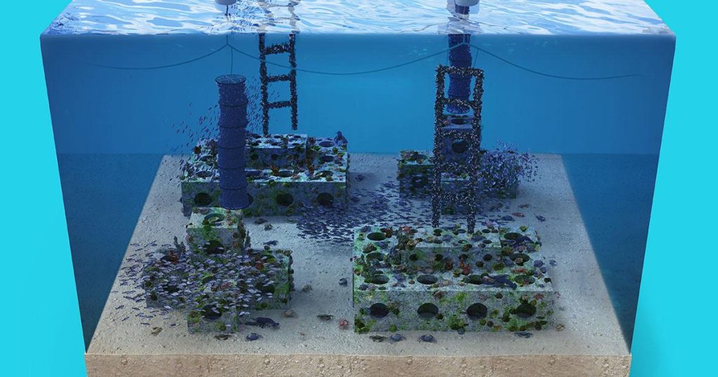 Marine-i Grant Accelerating Development Of Artificial Reef System ...