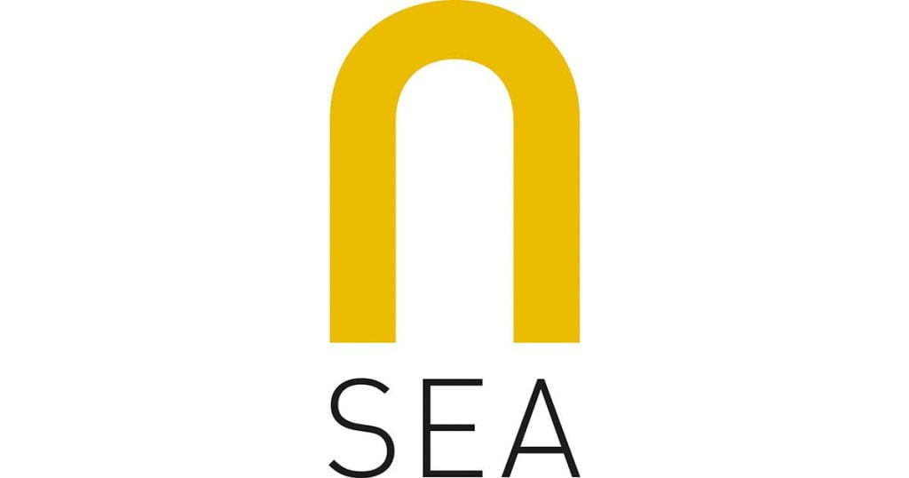 New CEO For Subsea IMR Service Provider, N-SEA | Ocean News & Technology