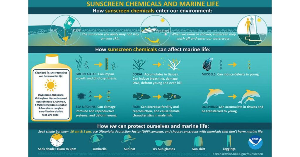 Sunscreen Chemicals And Coral Reefs | Ocean News & Technology