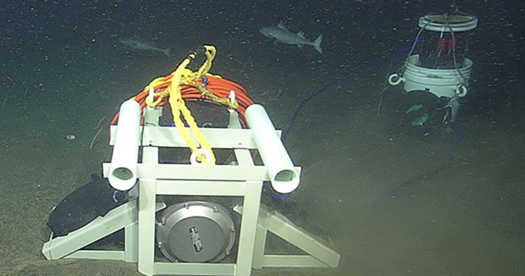 A New Low-Cost Way To Connect Deep-Sea Instrument | Ocean News & Technology