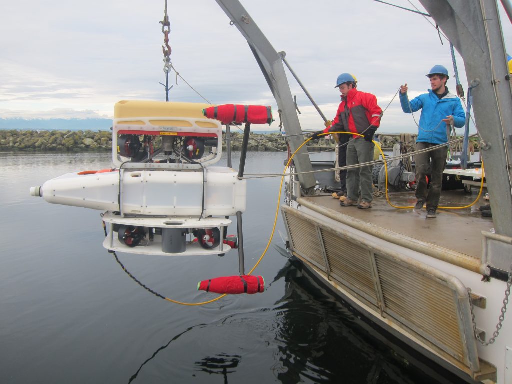 Falcon ROV – Saab Seaeye’s Most Successful ROV | Ocean News & Technology