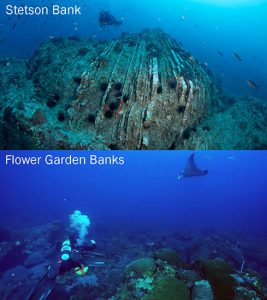 Flower Garden Banks National Marine Sanctuary: New Reports Available