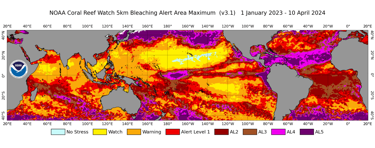 NOAA Confirms 4th Global Coral Bleaching Event | Ocean News & Technology