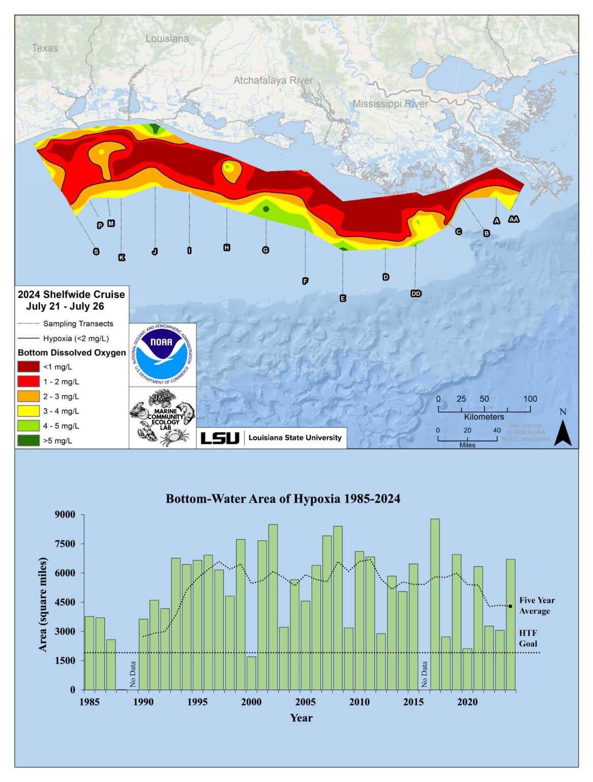 Gulf Of Mexico Dead Zone Larger Than Average | Ocean News & Technology