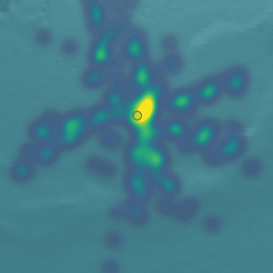 Slocum Gliders Successfully Detect And Localize Marine Mammals | Ocean ...