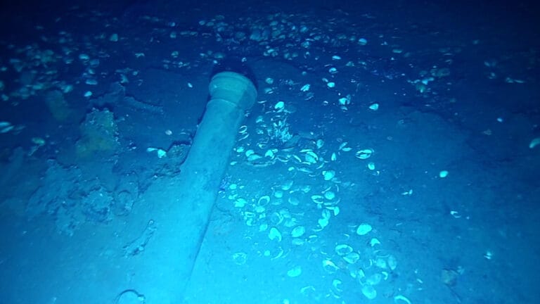 Saab Seaeye Lynx Plays Critical Role In Holy Grail San José Shipwreck ...