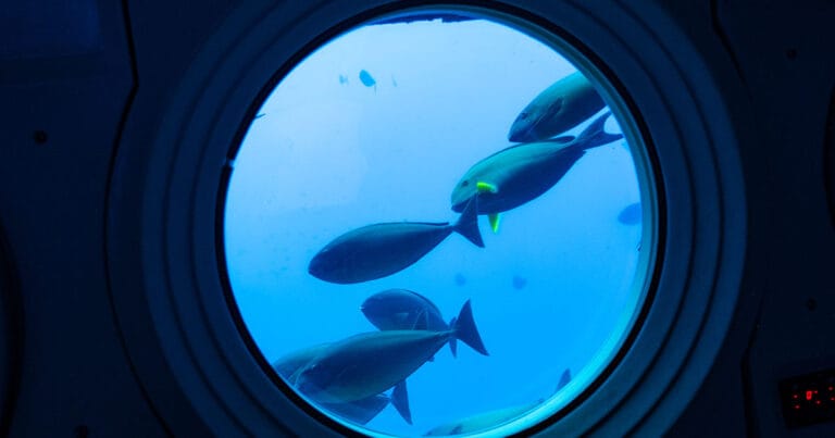 International Submarine Symposium Heads To Hamburg In September 2026