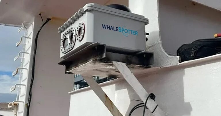 Teledyne FLIR OEM Thermal Imaging Enables WhaleSpotter’s AI-Powered ...
